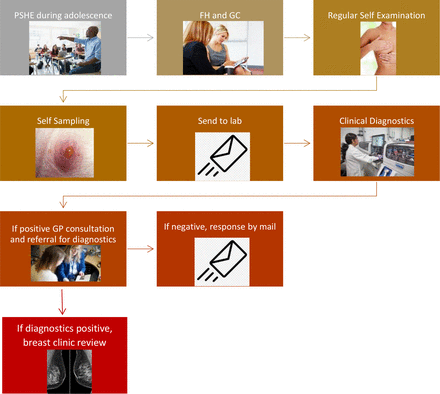 Breast health screening: a UK-wide questionnaire | BMJ Nutrition ...